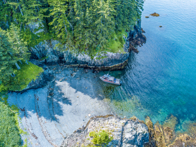 Experience Alaska's Wild Beauty With Unique Alaskan Expeditions!